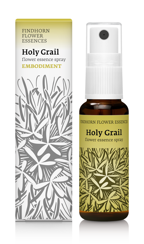 Holy Grail Flower Essence Oral Spray 25mL – TREEHOUSE THE SPIRITUAL SHOP