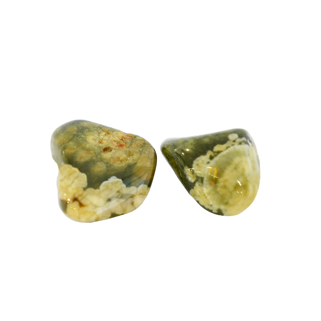 Rainforest Jasper Tumbled Stone – TREEHOUSE THE SPIRITUAL SHOP